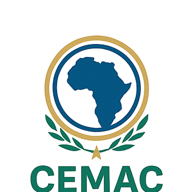 CEMAC Permit Application Guide: How to Legally Trade Gold and Minerals ...